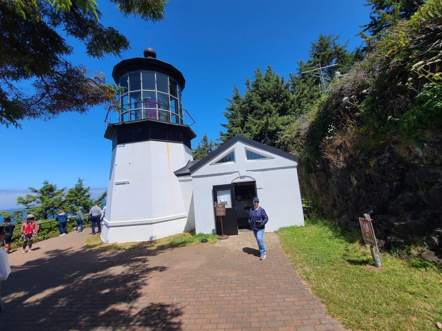 12 Best Lightweight Cameras (May 2026) Guide & Review