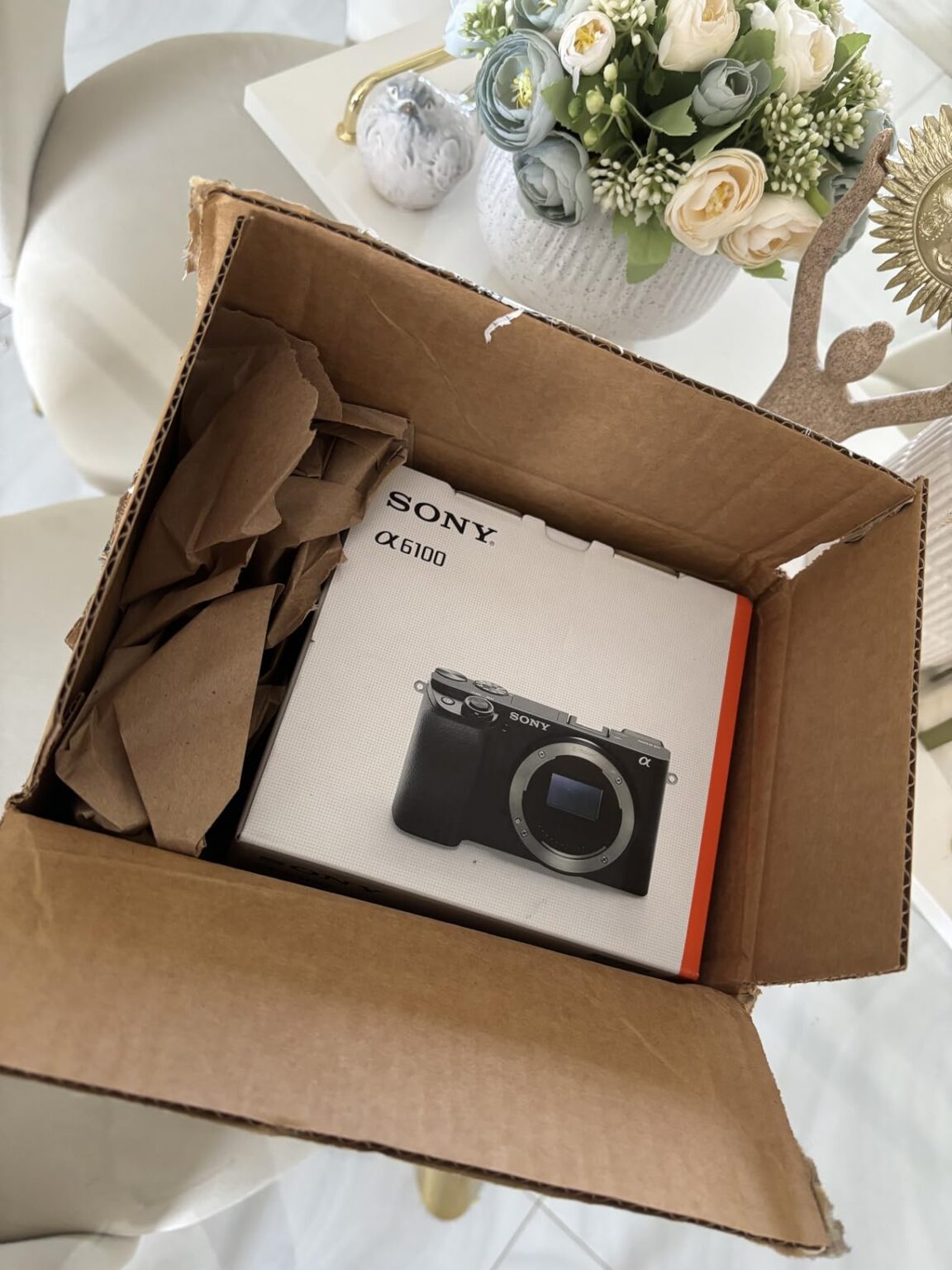8 Best Sony Cameras For Beginners (May 2026) Complete Buying Guide