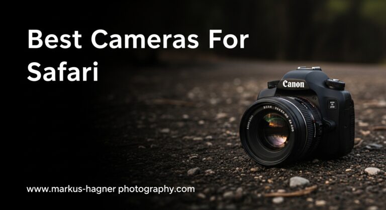 10 Best Cameras For Safari (March 2026) Wildlife Photography Guide