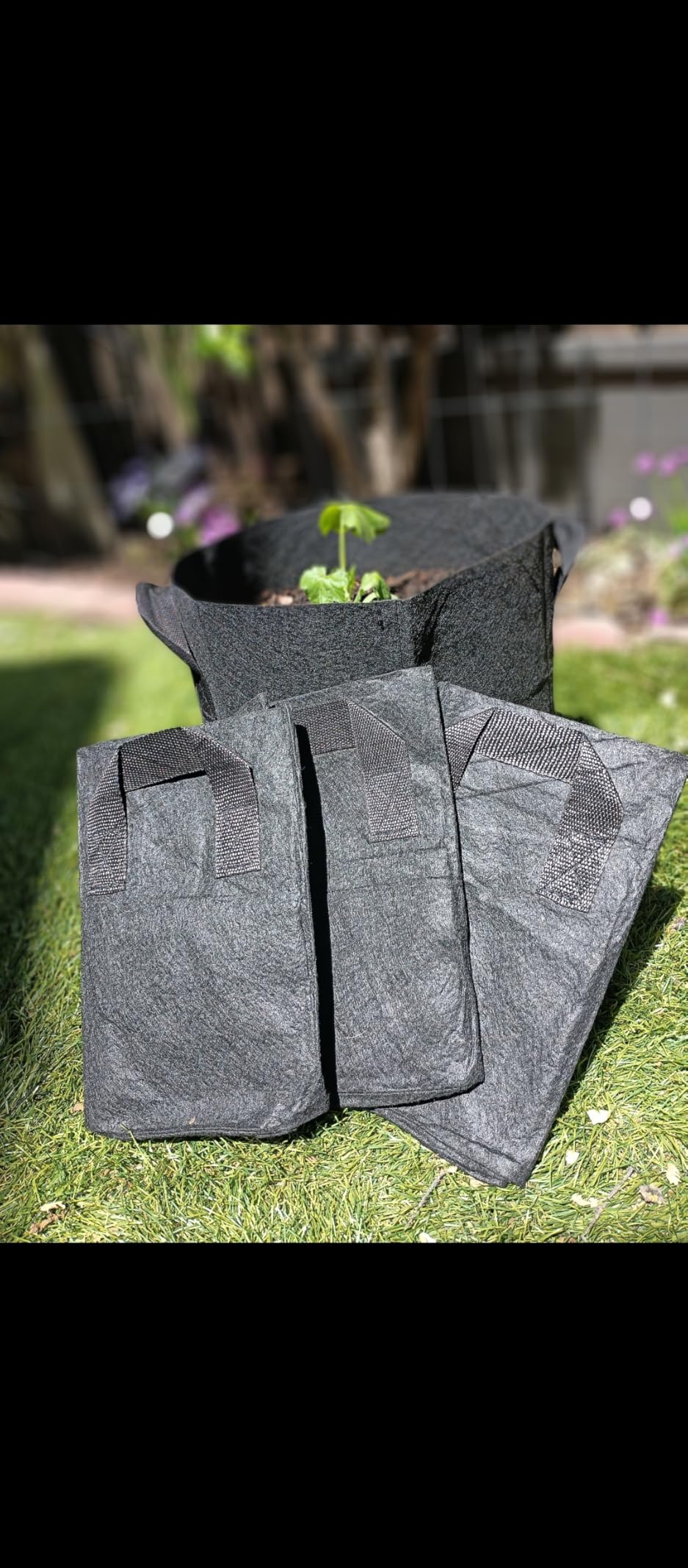 10 Best Fabric Grow Bags for Container Gardening (January 2026) Buying ...