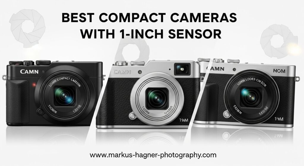 10 Best Compact Cameras with 1-inch Sensor (May 2026) Expert Reviews