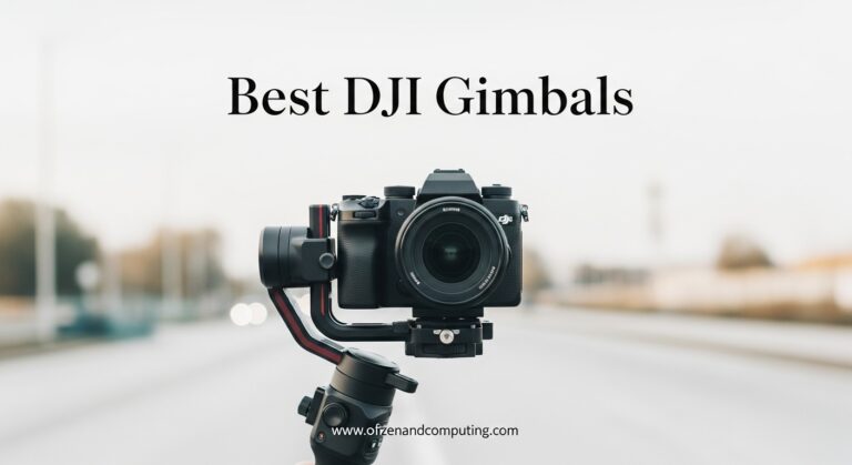 12 Best DJI Gimbals (May 2026) Models Tested