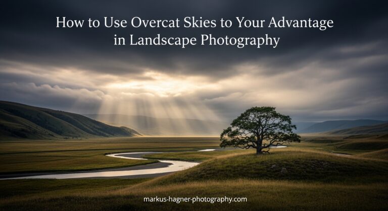 How to Use Overcast Skies to Your Advantage in Landscape Photography ...