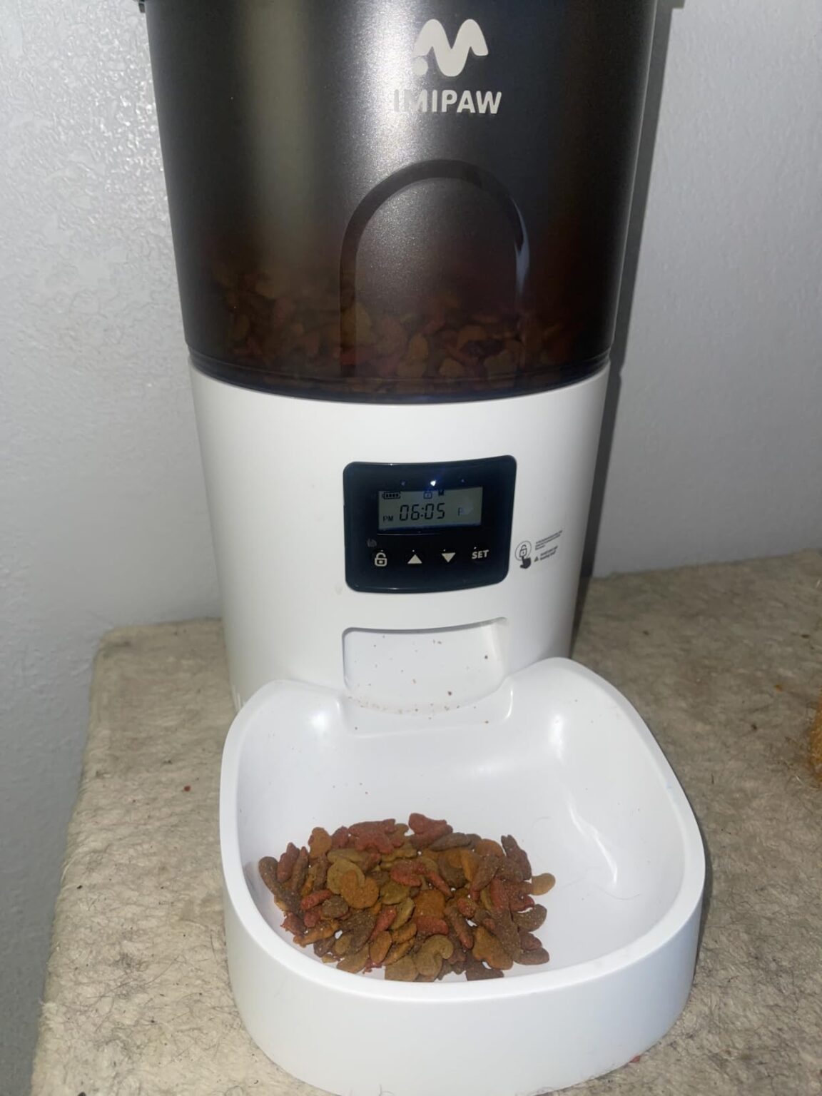 12 Best Automatic Pet Feeders (July 2026) Expert Reviews
