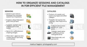 How to Organize Sessions and Catalogs in Capture One for Efficient File ...